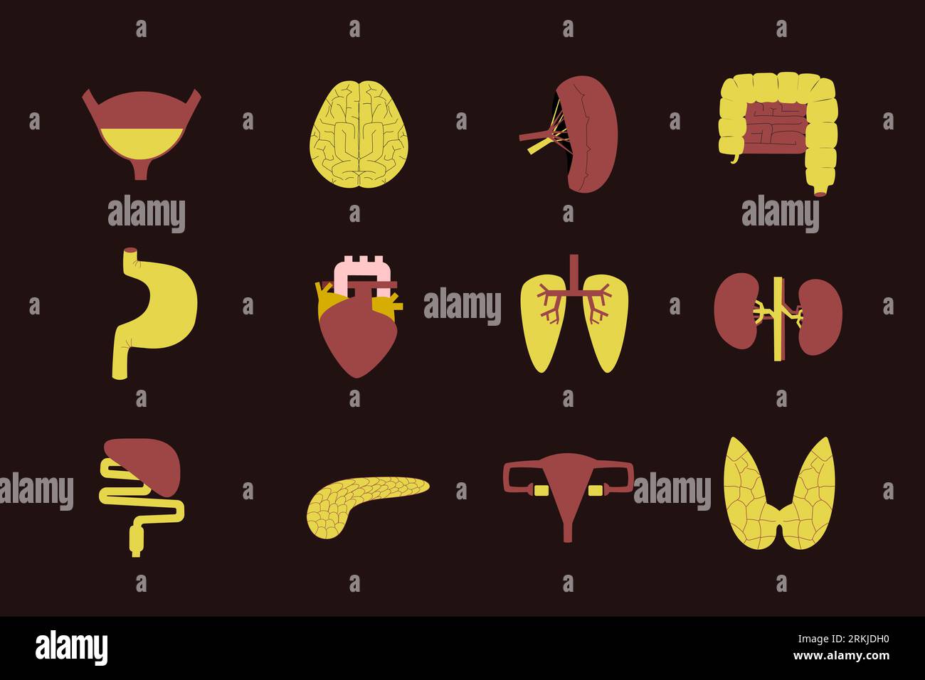 Thyroid surgery anatomy hi-res stock photography and images - Alamy