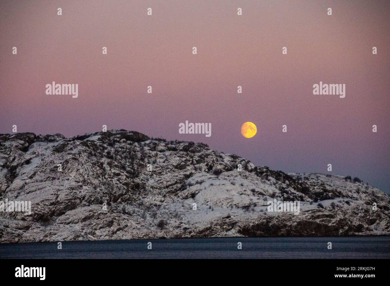 Large full moon on summer hi-res stock photography and images - Alamy