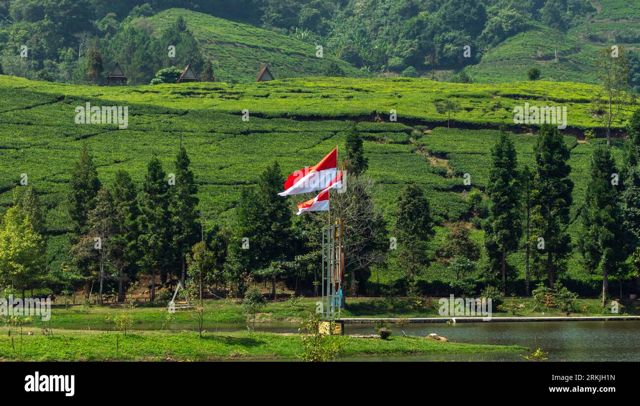Flags asia waving hi-res stock photography and images - Alamy