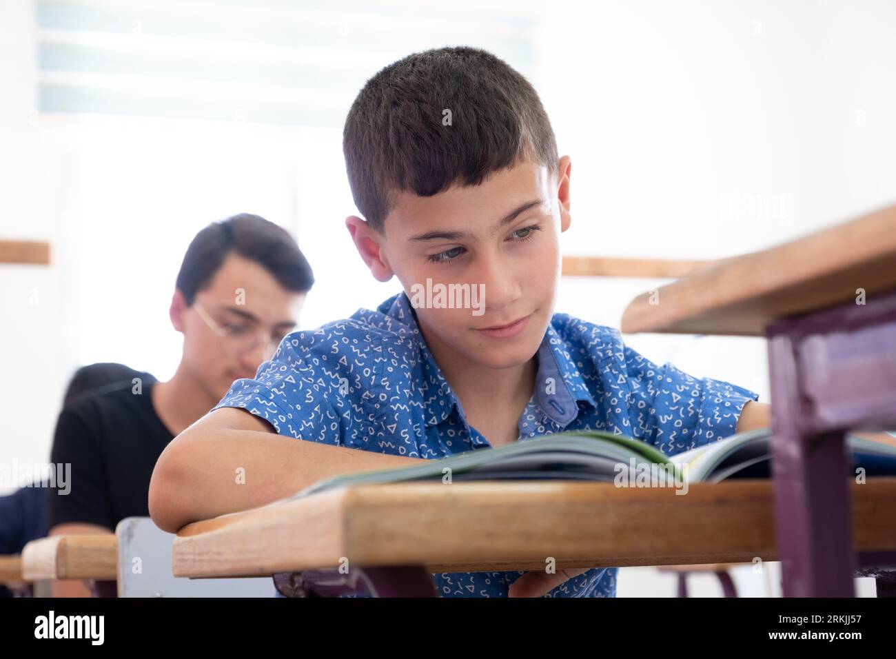 Boy studying in school with his colleagues Stock Photo - Alamy