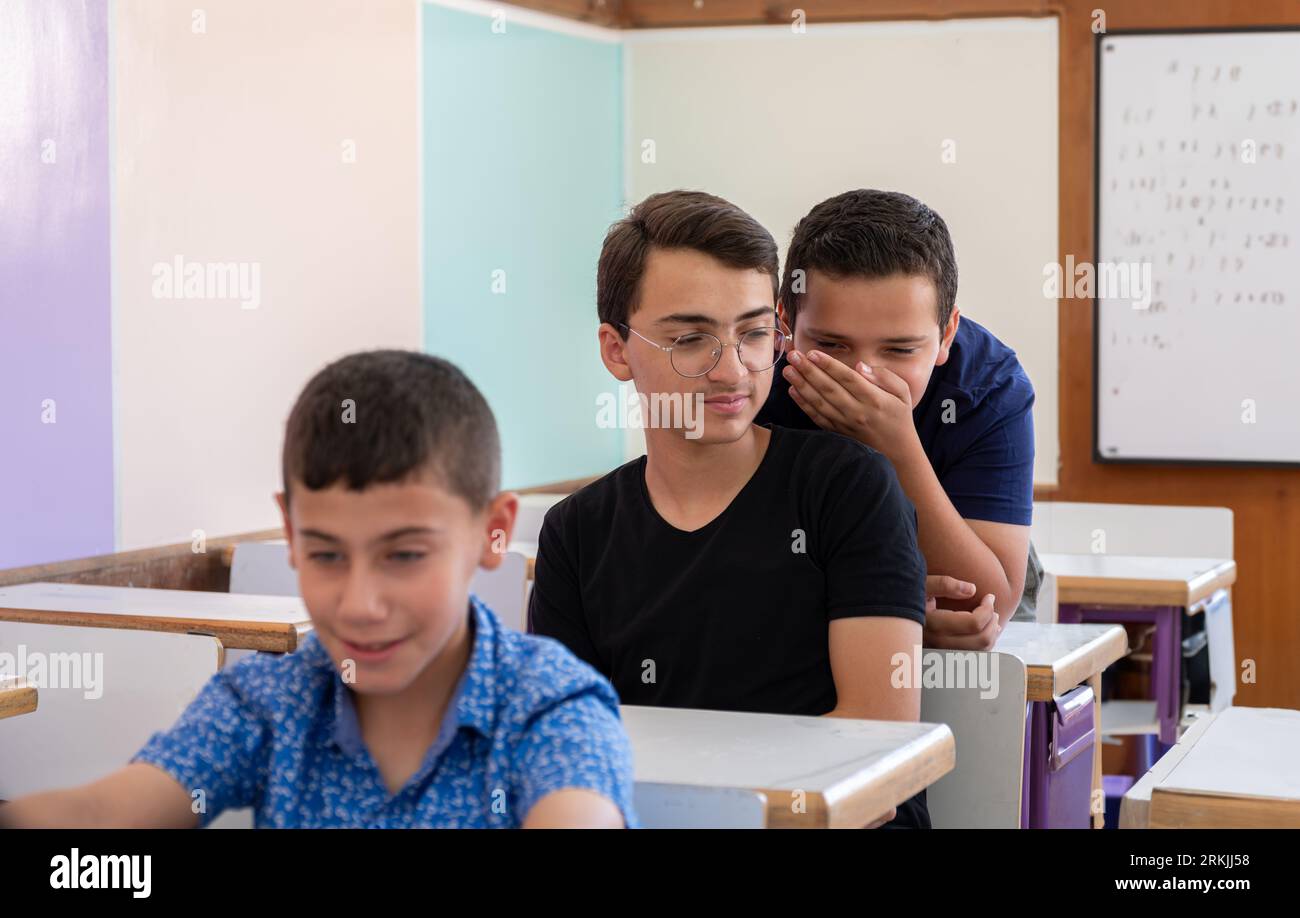 Boy studying in school with his colleagues Stock Photo - Alamy
