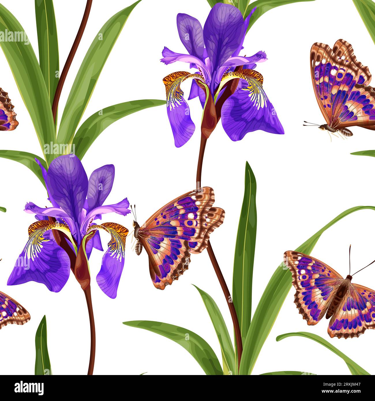 Butterfly iris flower Stock Vector Images - Alamy