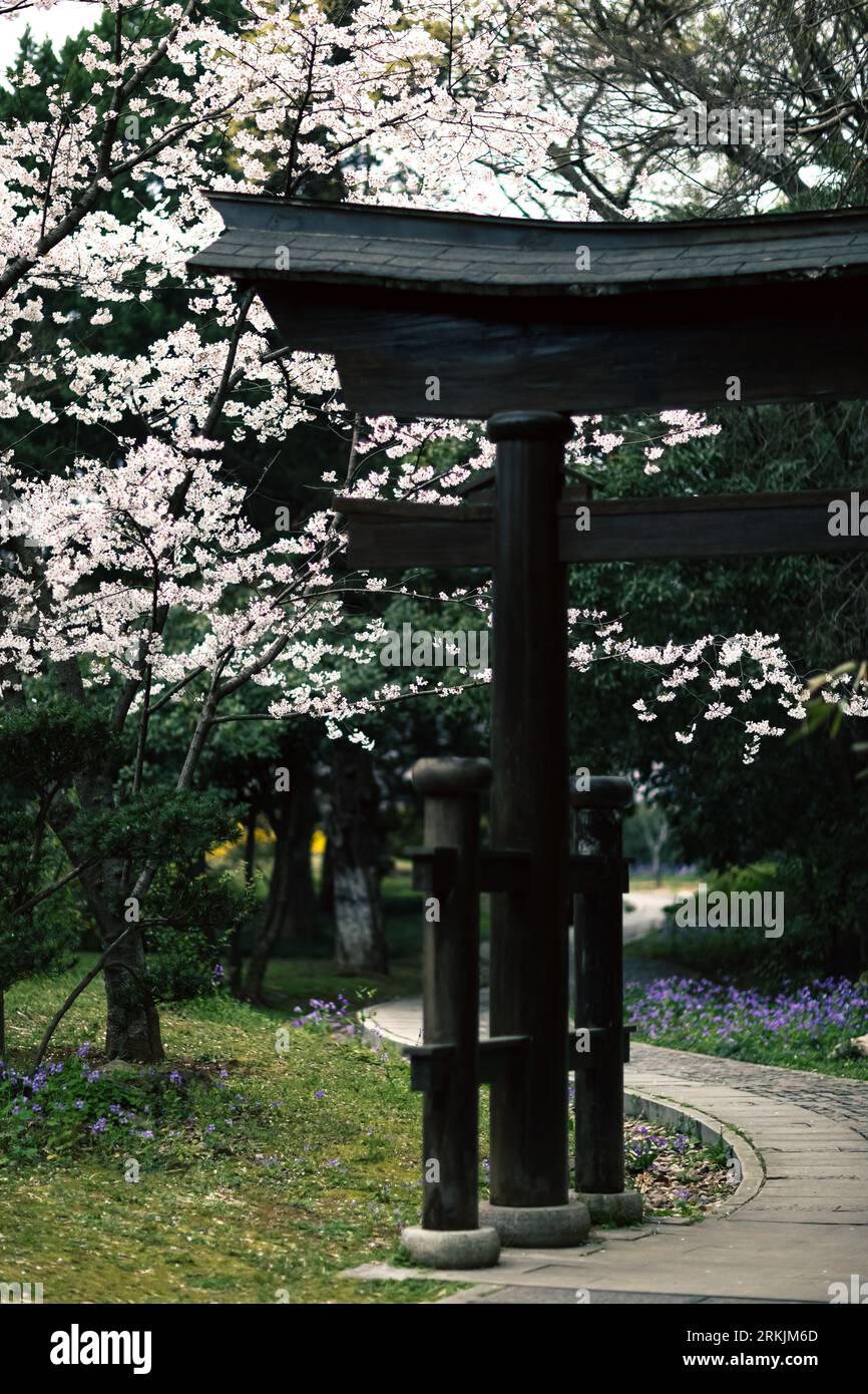 An Asian-style archway and pathway lined with flowering trees featuring ...