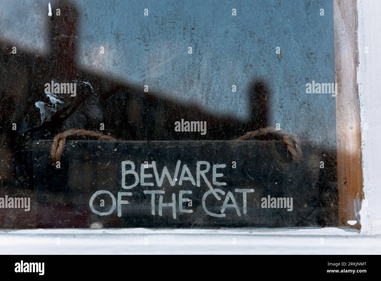 Beware of the cat sign Stock Photo - Alamy
