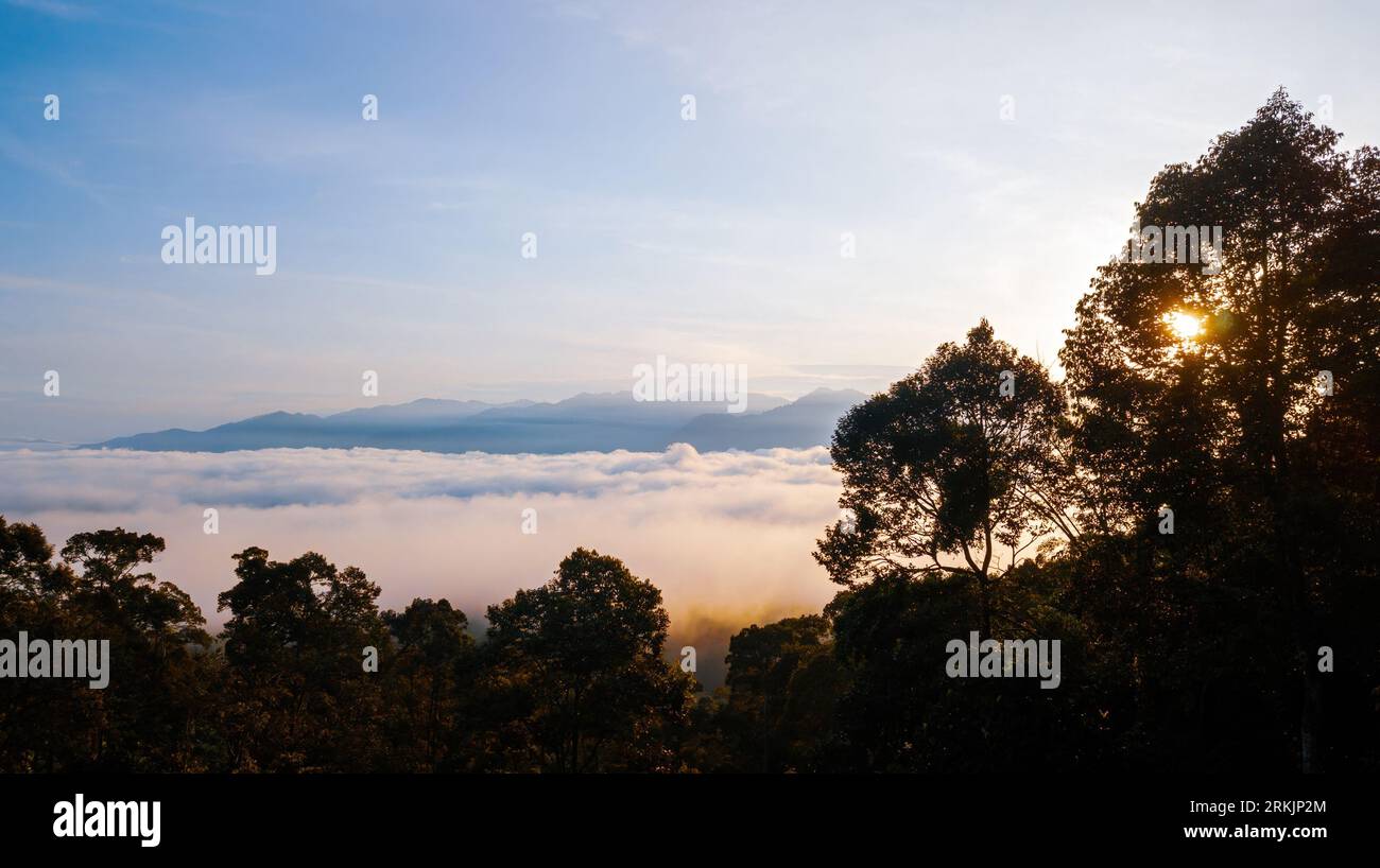 An aerial view of a tropical rainforest in Lenggong, Perak lit by the ...