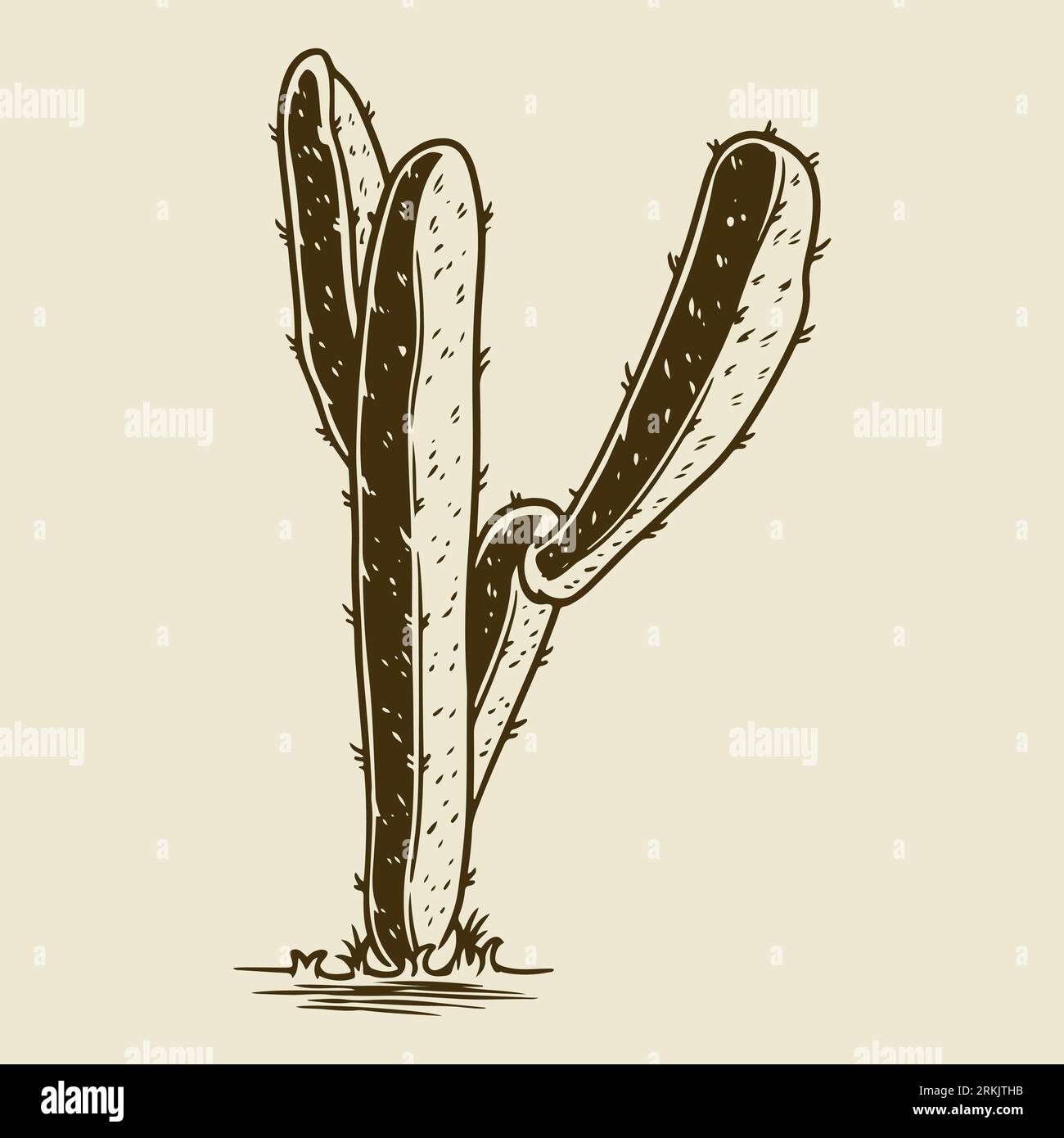 Cactus sketch style vector illustration. Old vintage engraving hand ...