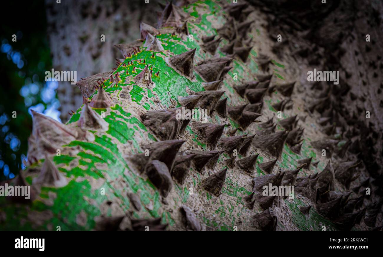 Protrusions hi-res stock photography and images - Alamy