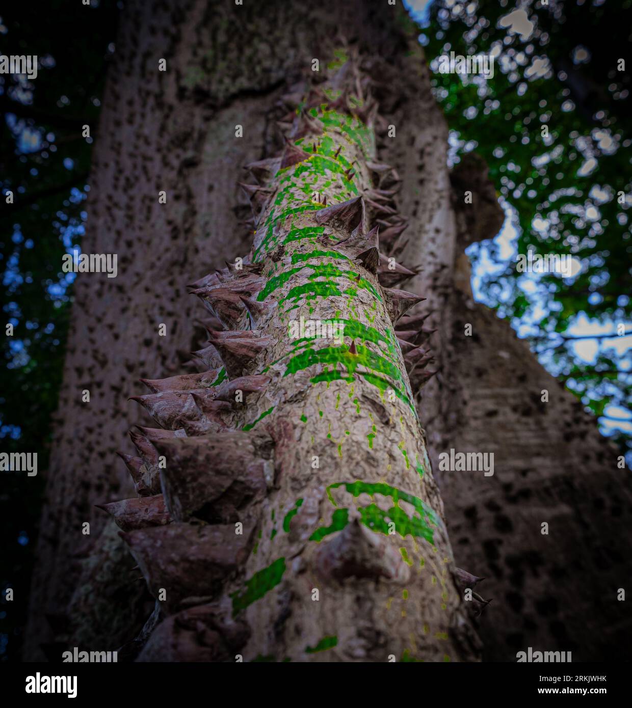 Protrusions hi-res stock photography and images - Alamy