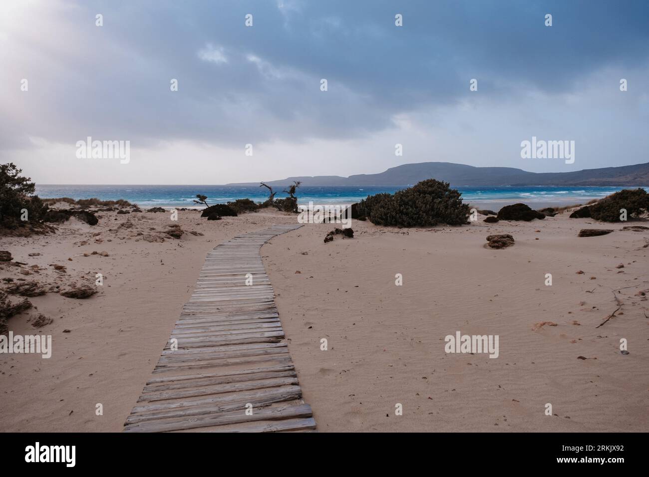 Ladder in the sand on a beach with plants and ocean view, cloudy rainy ...