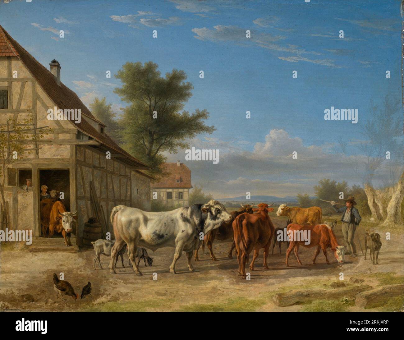 Outbound herd hi-res stock photography and images - Alamy