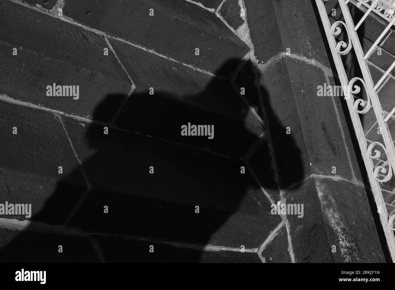 Shadow photography is also defined as the manipulation of the light ...