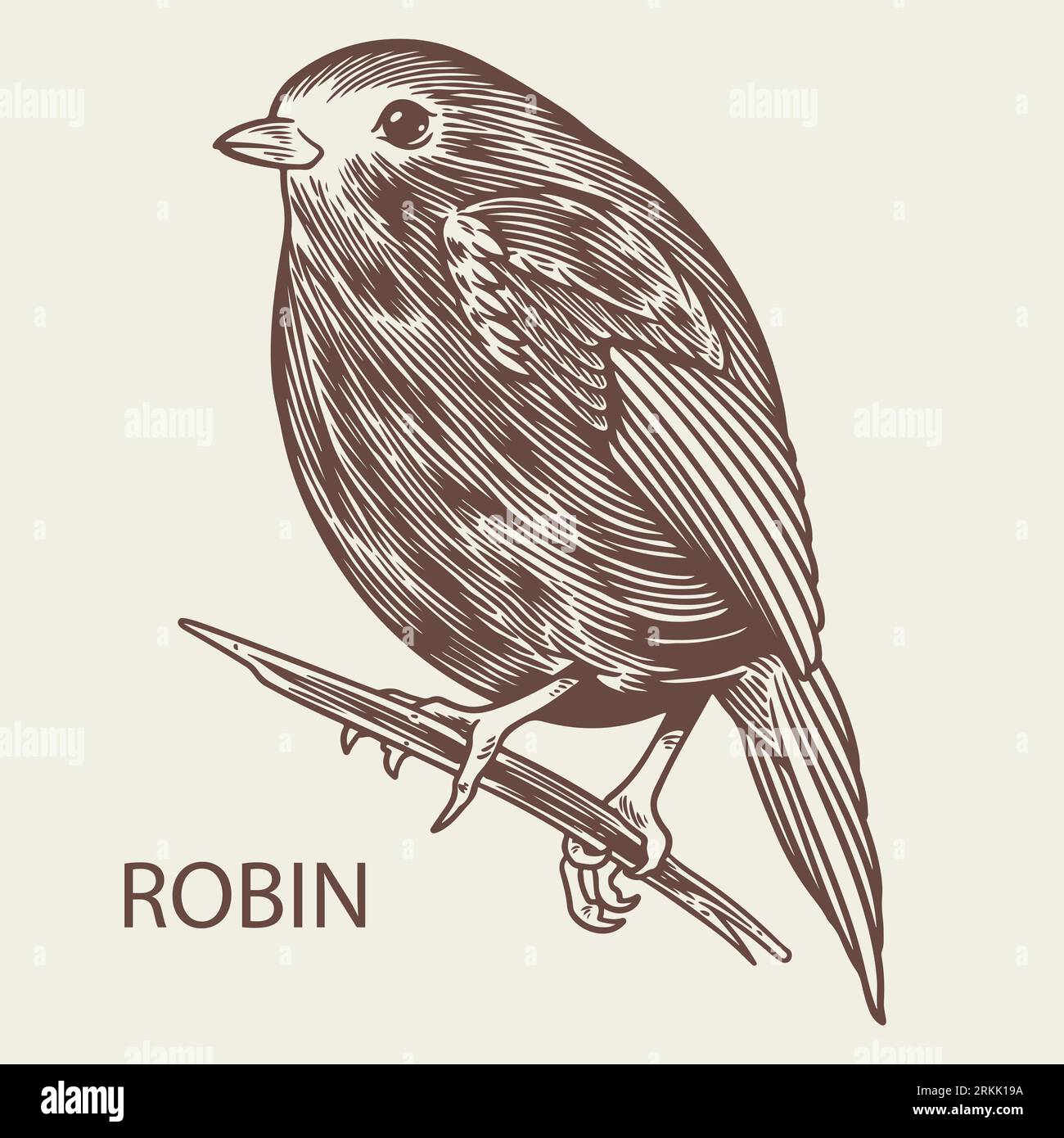 European robin Stock Vector Images - Alamy