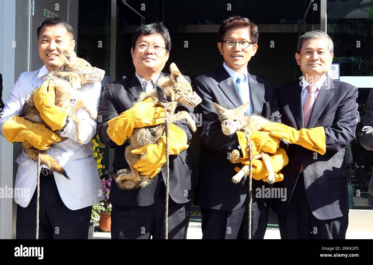 Woo suk hwang hi-res stock photography and images - Alamy