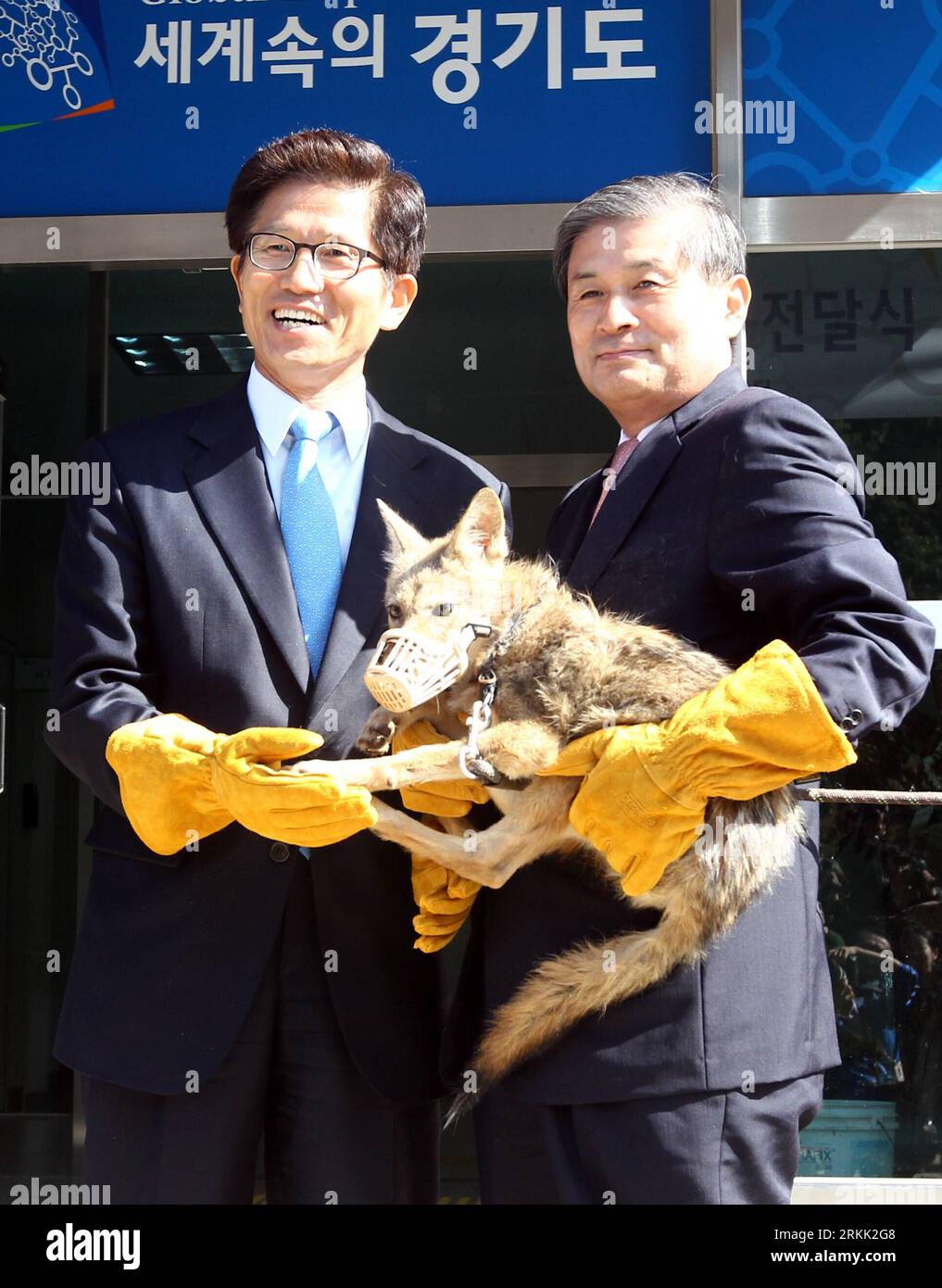 Woo suk hwang hi-res stock photography and images - Alamy