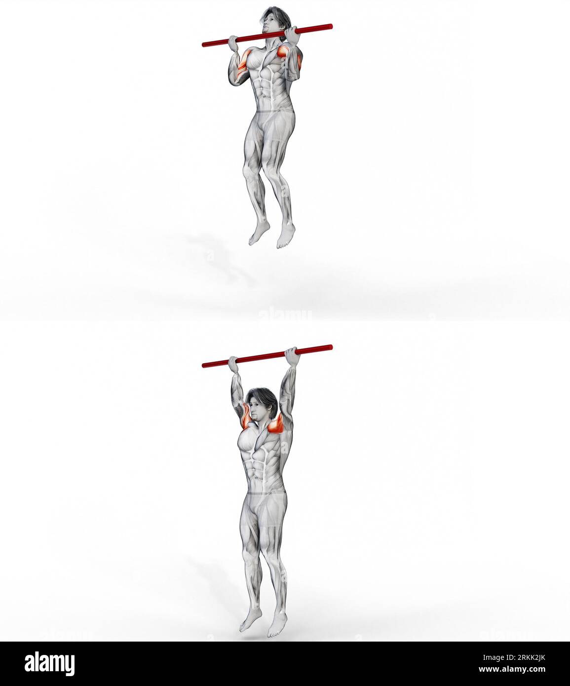 A 3D rendering of a muscular man performing pull-ups with a metal pole ...