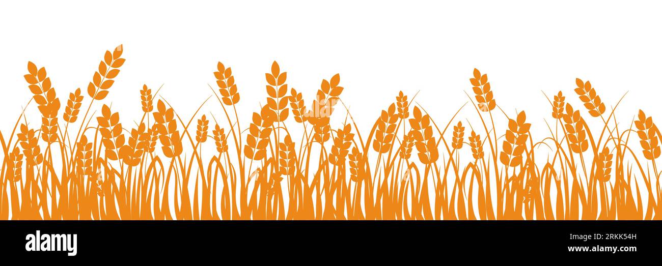 Field background spikelets Stock Vector Images - Alamy