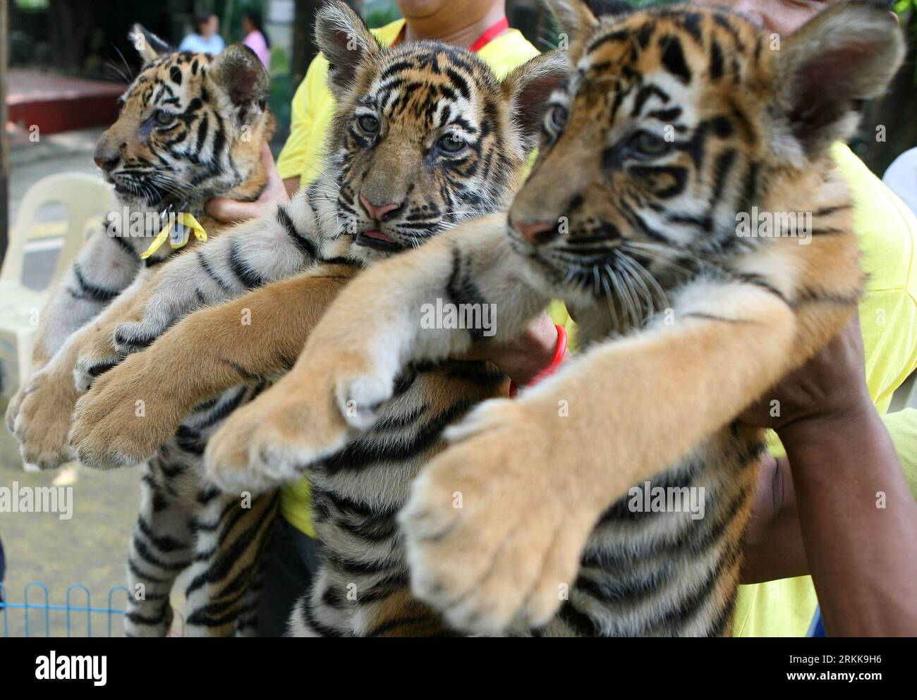 Pedring hi-res stock photography and images - Alamy
