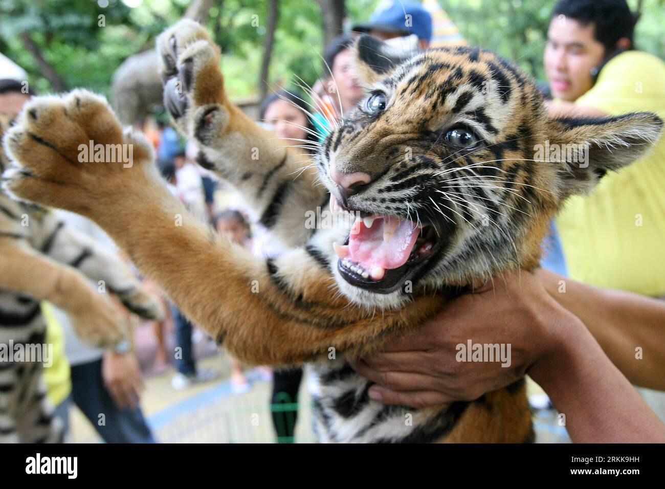 Bildnummer: 56214006 Datum: 25.10.2011 Copyright: imago/Xinhua (111025 ...
