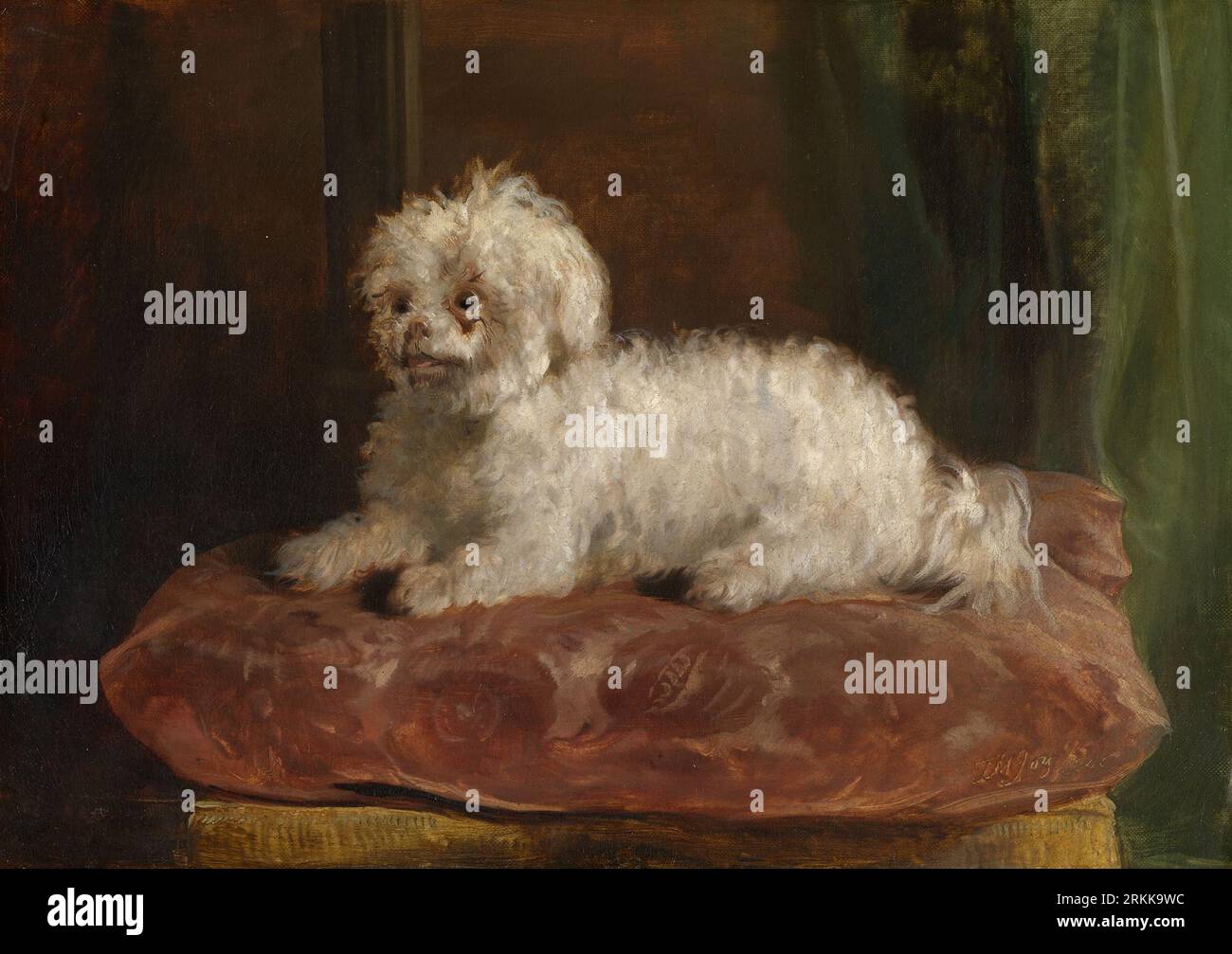 Musgrave thomas hi-res stock photography and images - Alamy