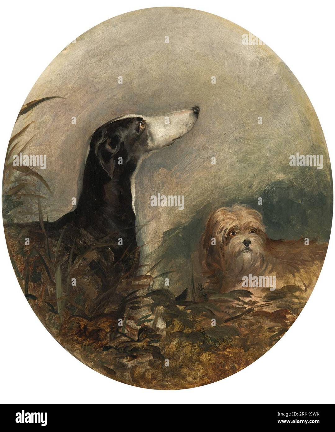 "Eos" and "Cairnach" 1843 by Thomas Musgrave Joy Stock Photo - Alamy