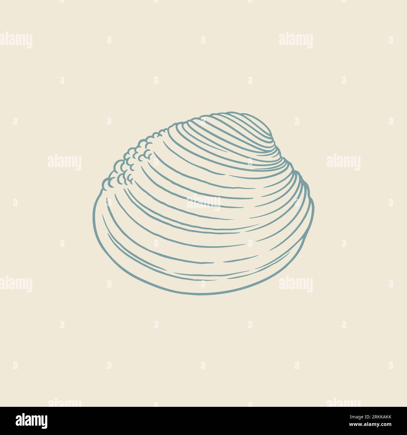 Clams and white Stock Vector Images - Alamy