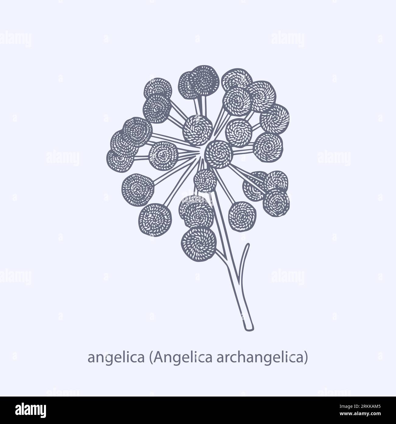 Assa Stock Vector Images - Alamy