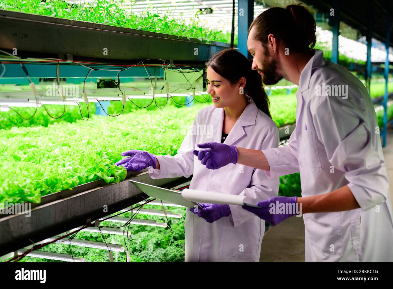 Scientists team working and researching in hydro and organic farm Stock ...