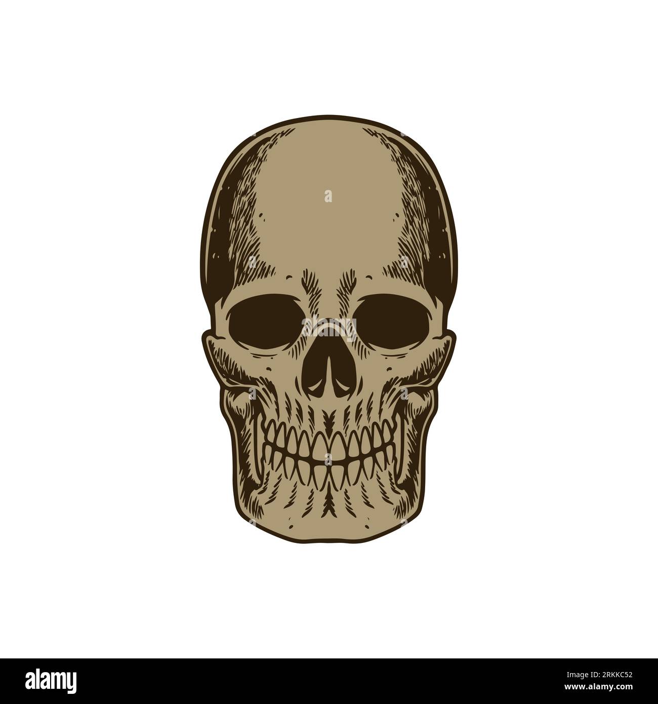 Hand drawn sketch of human skull vintage engraved style isolated on ...