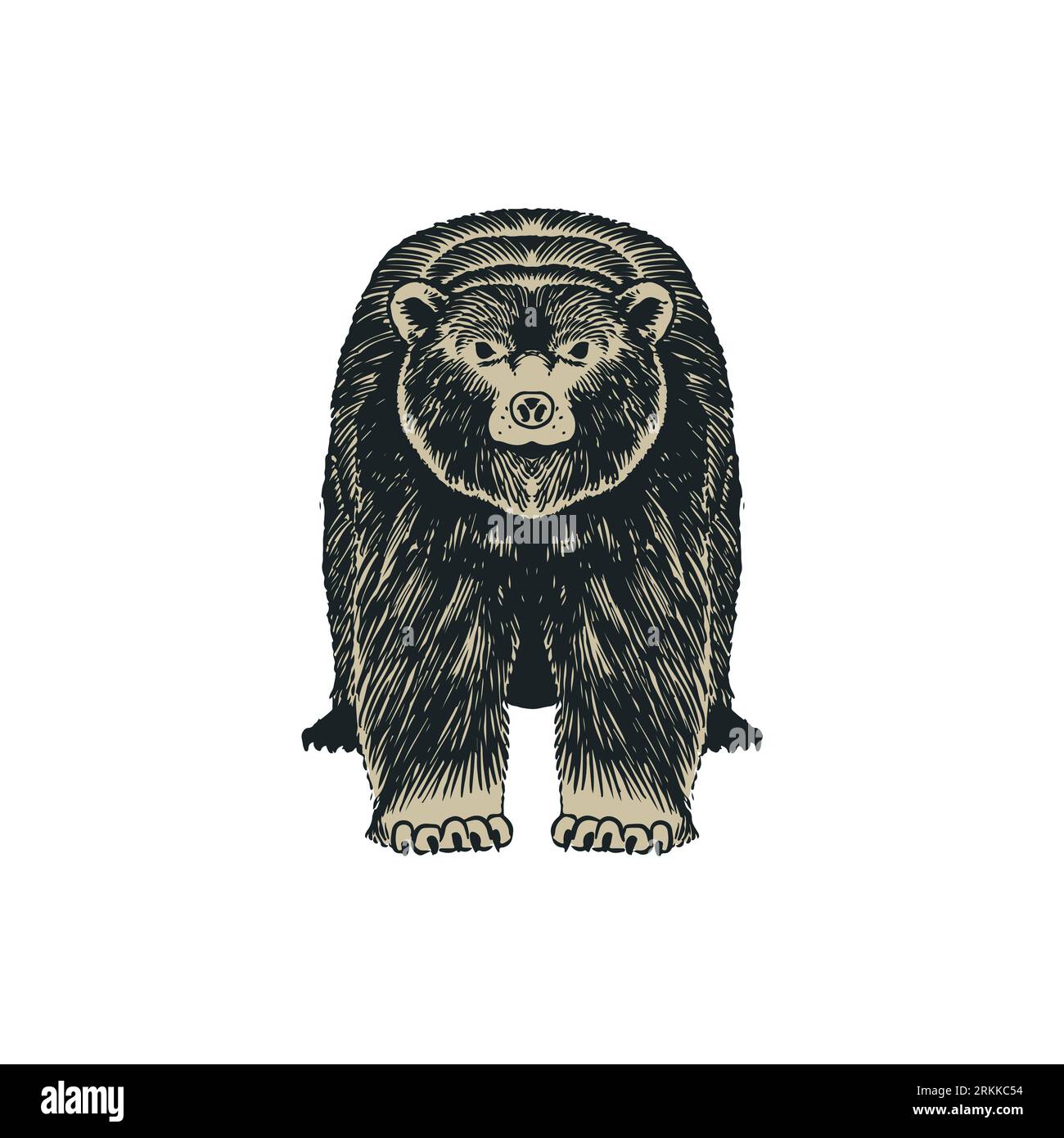 Grizzly bear. Hand drawing of wildlife. Animal forest on white ...