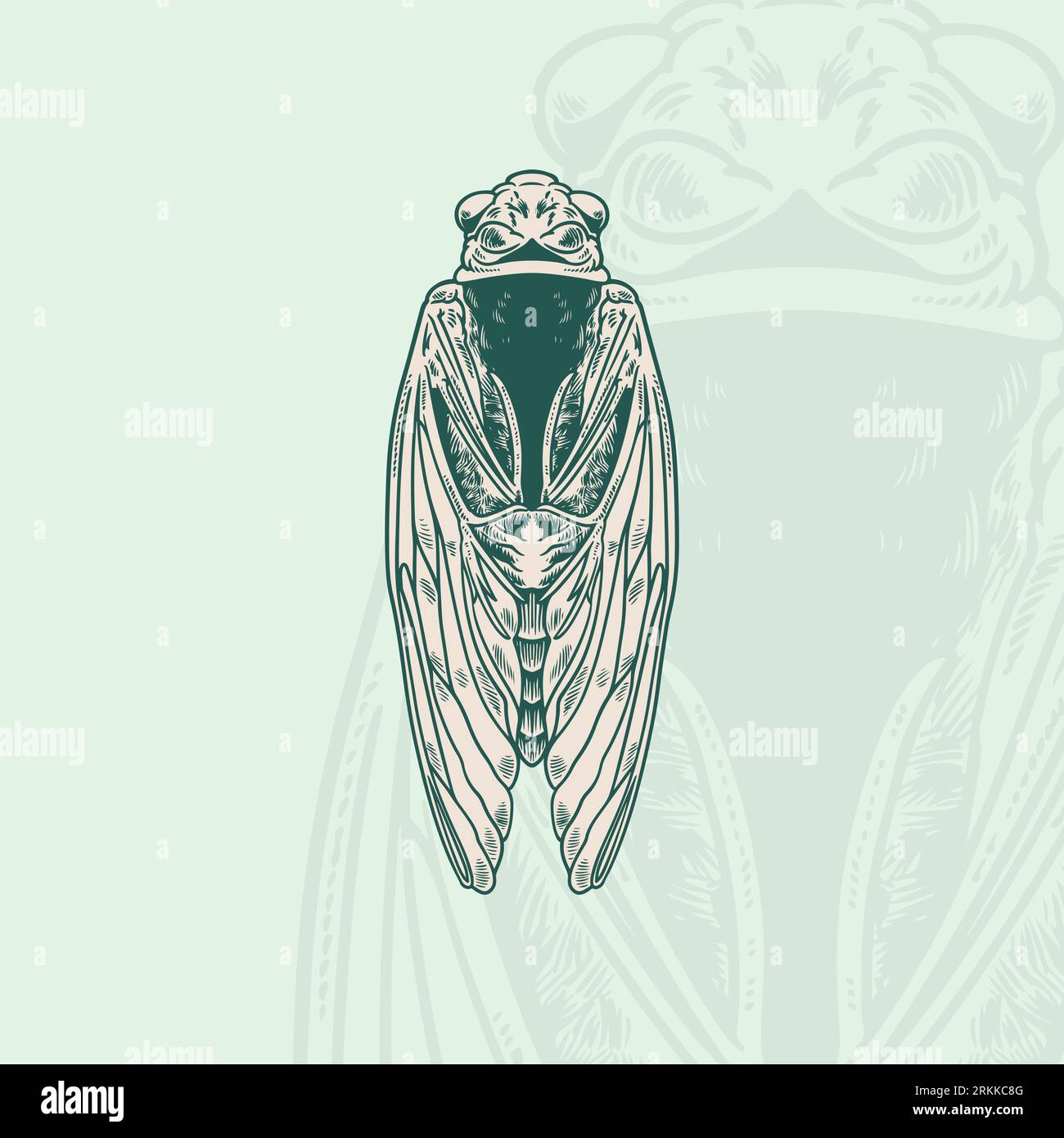 Hand drawn drawing of a insect coloring book design. Ink drawing ...