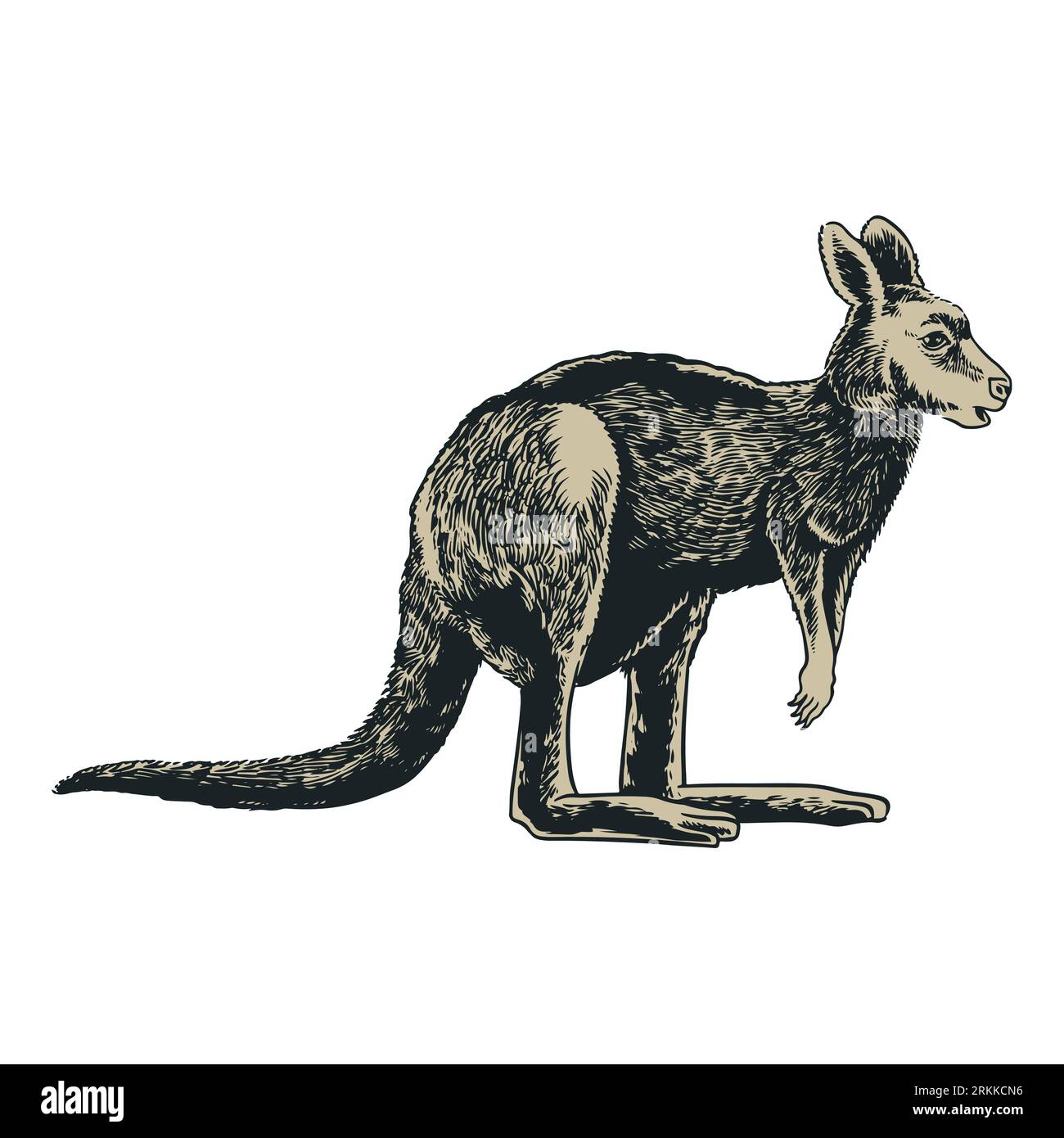 Kangaroo australian poster hi-res stock photography and images - Alamy