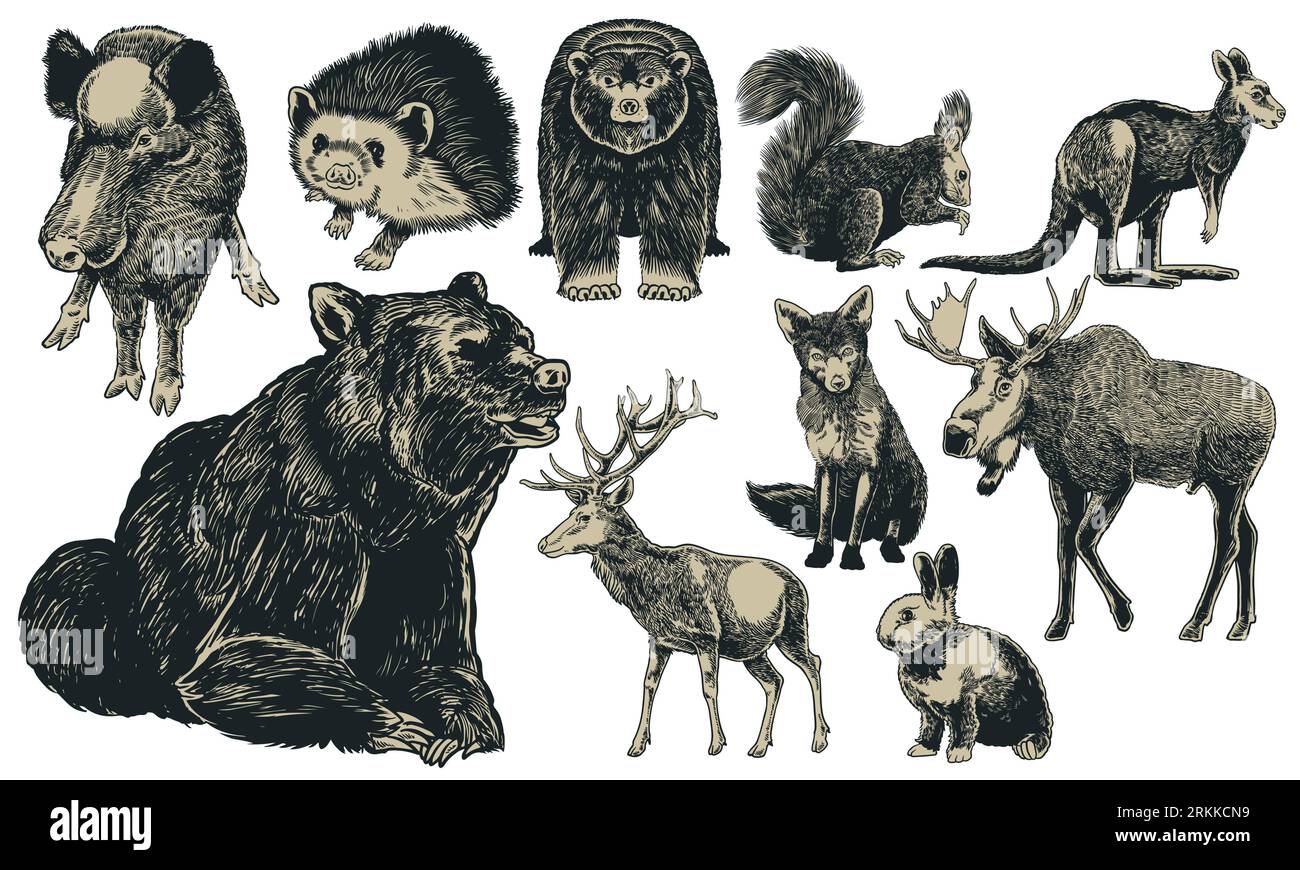 Animals of Europe hand drawn set vintage engraving. Kangaroo, hedgehog ...