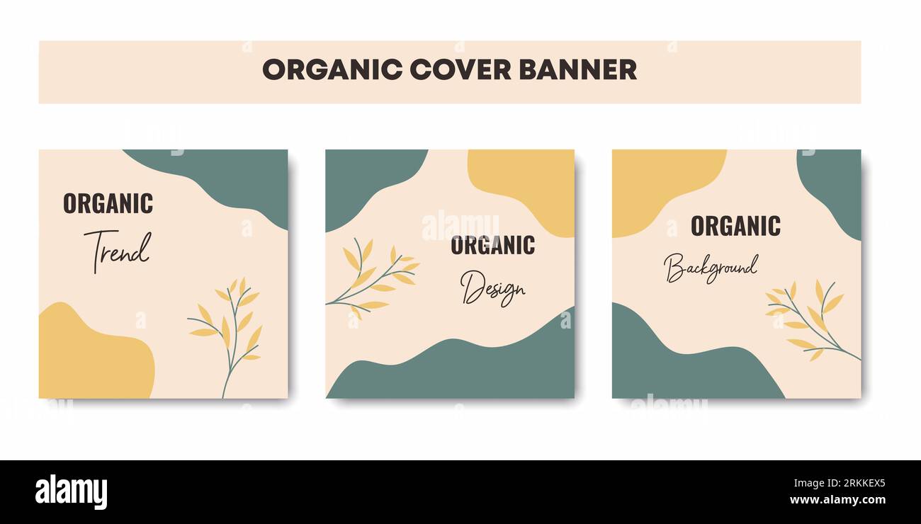 Set abstract feminine feed social media feeds post. Hand drawn abstract ...