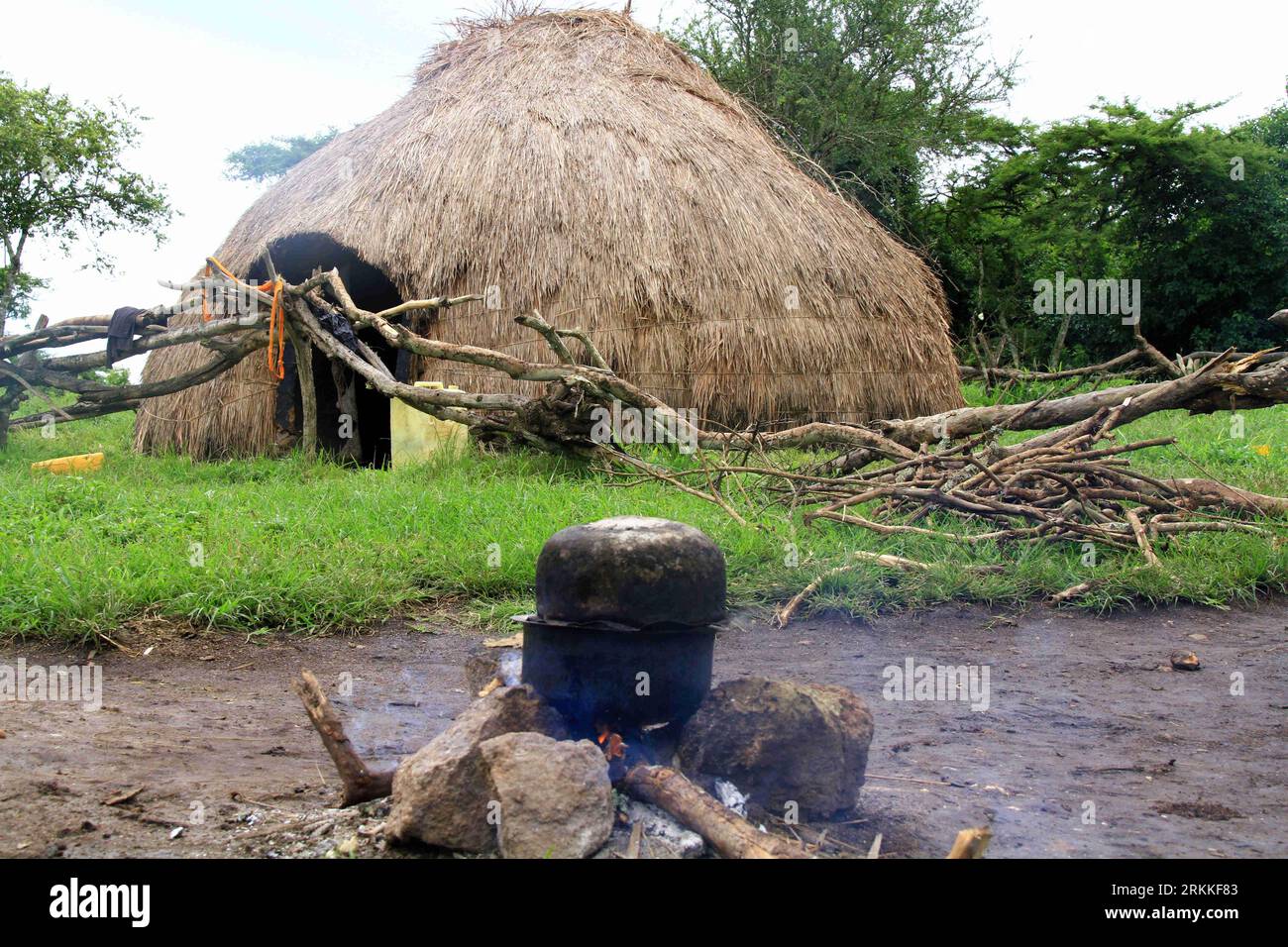 Bildnummer: 56234695 Datum: 31.10.2011 Copyright: imago/Xinhua (111031 ...