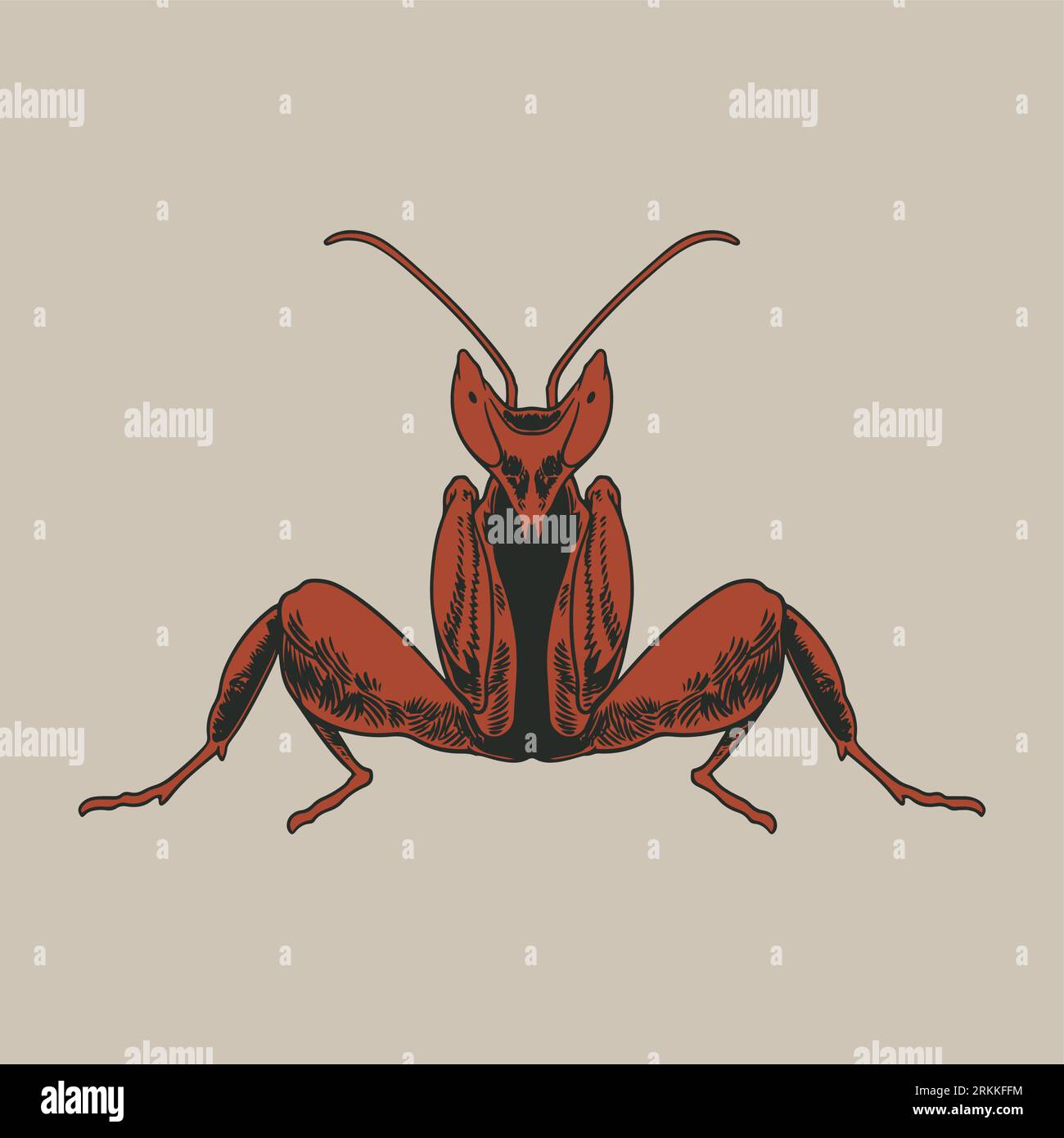 Entomology insect poster Stock Vector Images - Alamy
