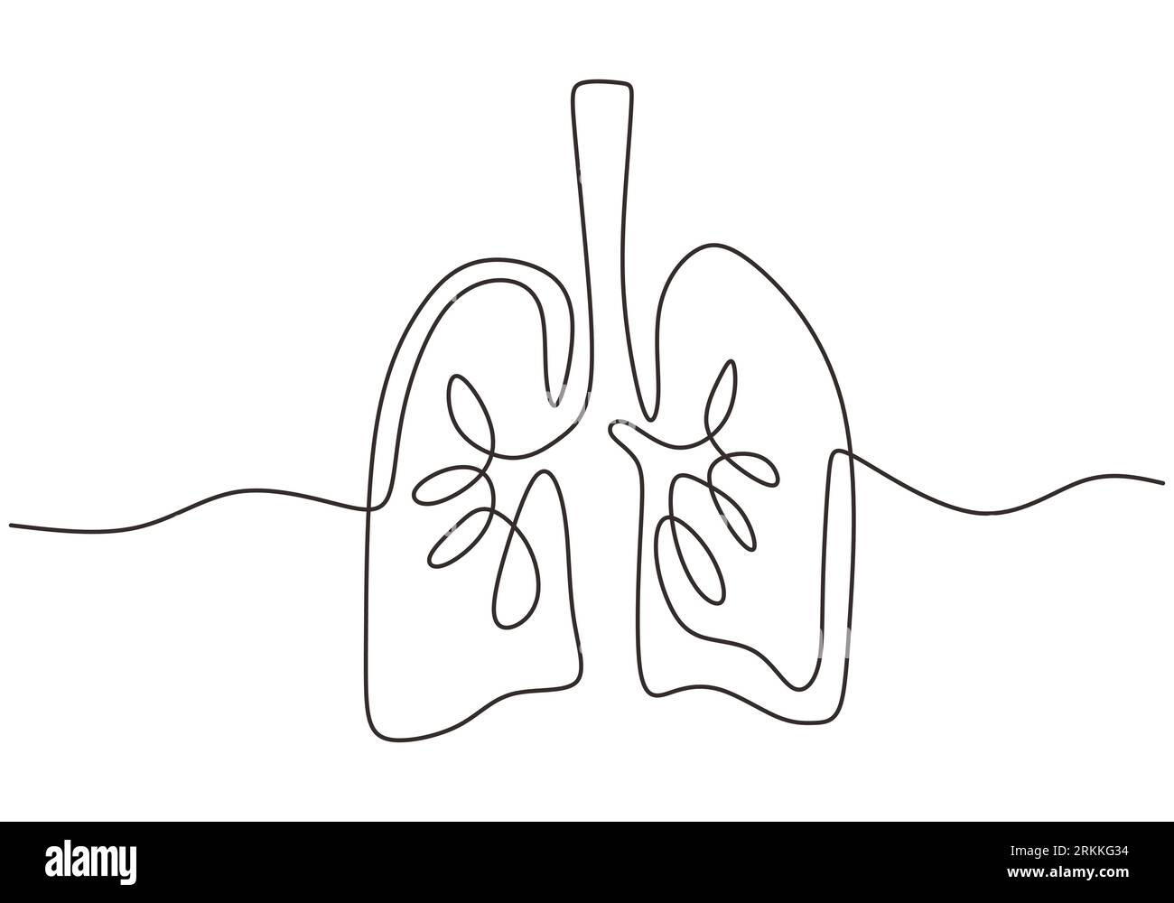 Continuous line art of lungs. Human organ isolated on white background ...