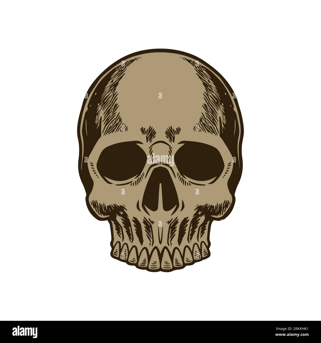 Vintage Scary Skull Of Human With Lower Jaw Hand Drawn Engraved Style Terrible Skull For
