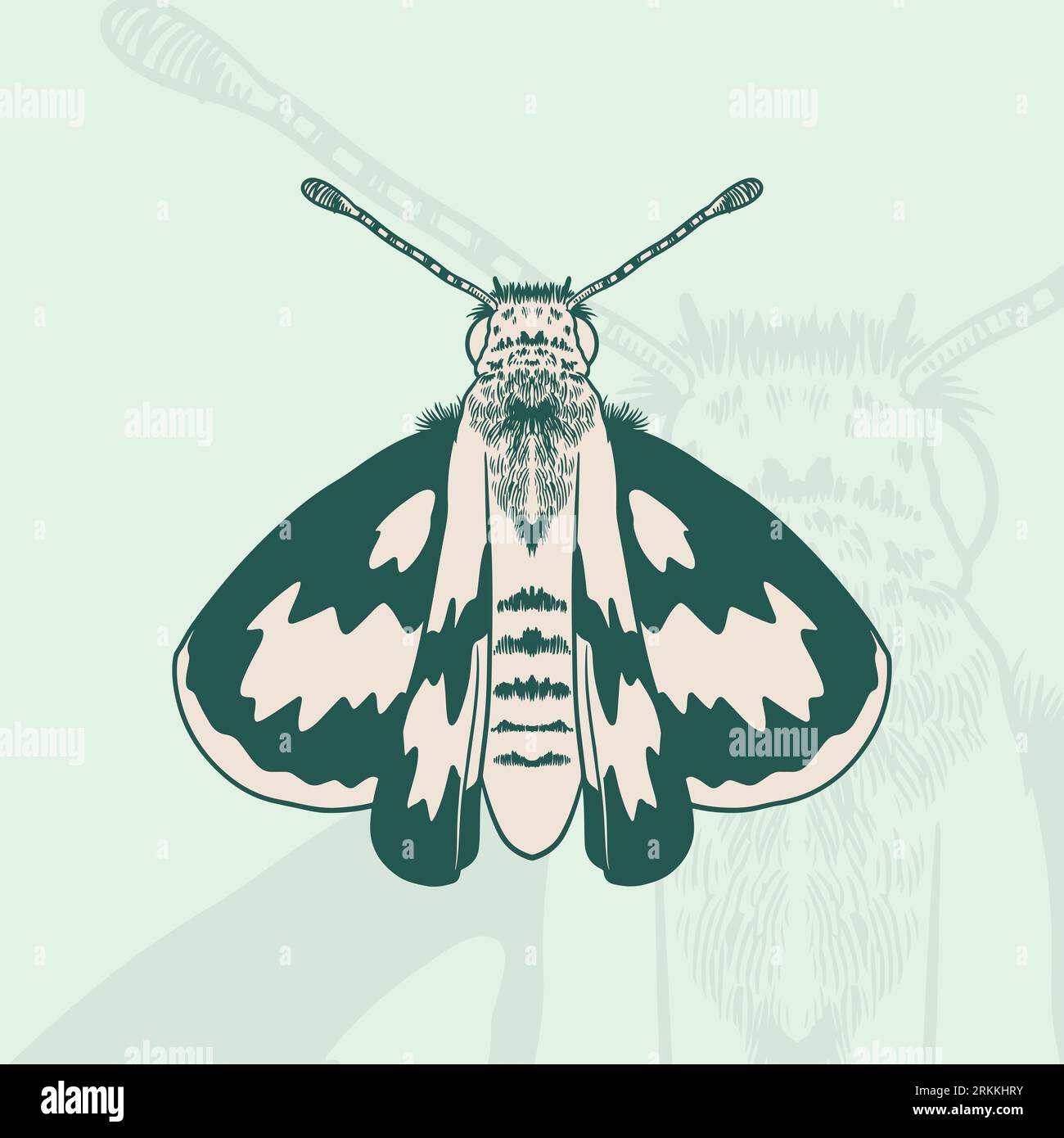 Hand drawn drawing of a Moth coloring book design. Ink drawing, graphic ...