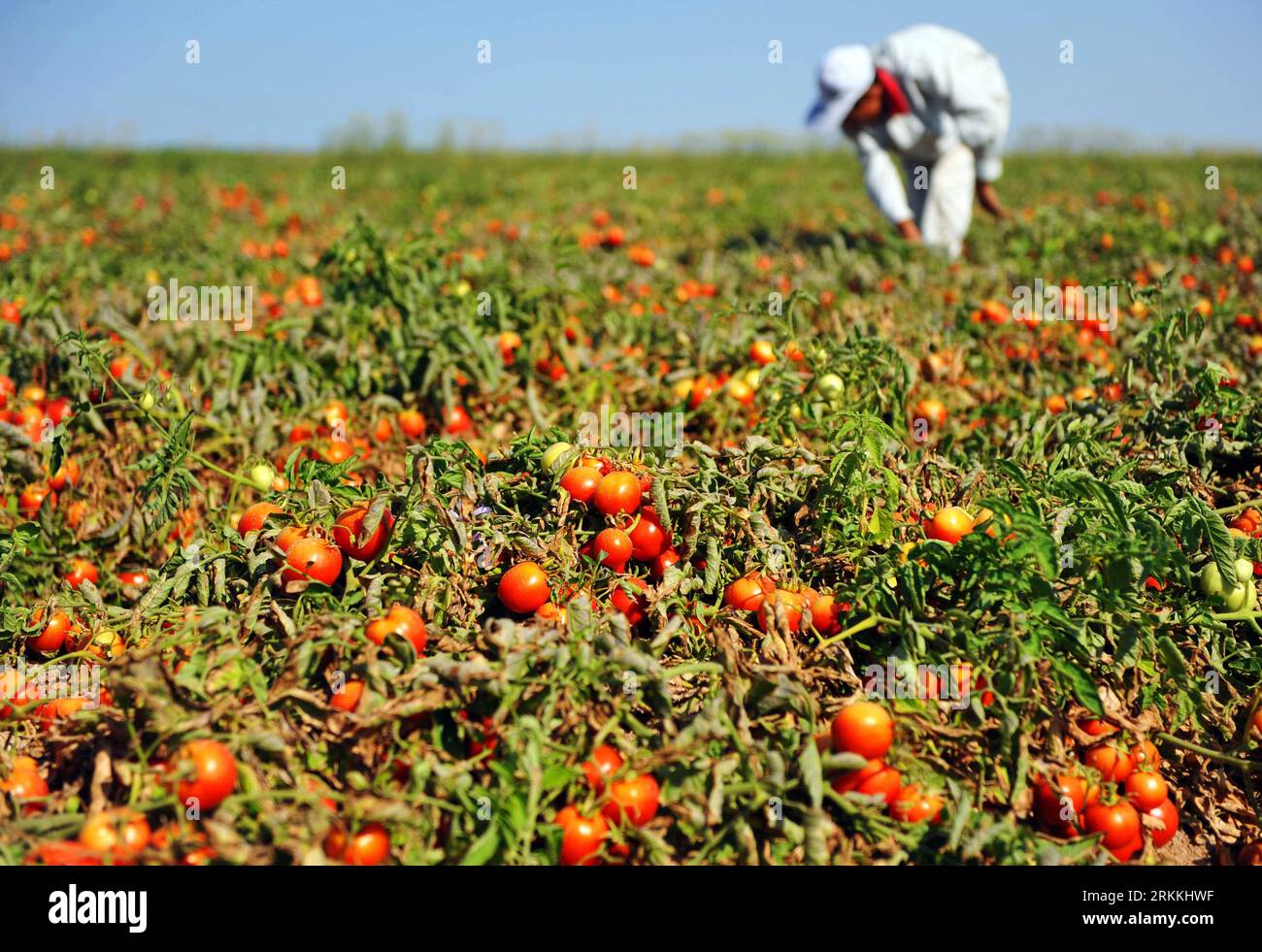 China national cereals hi-res stock photography and images - Alamy