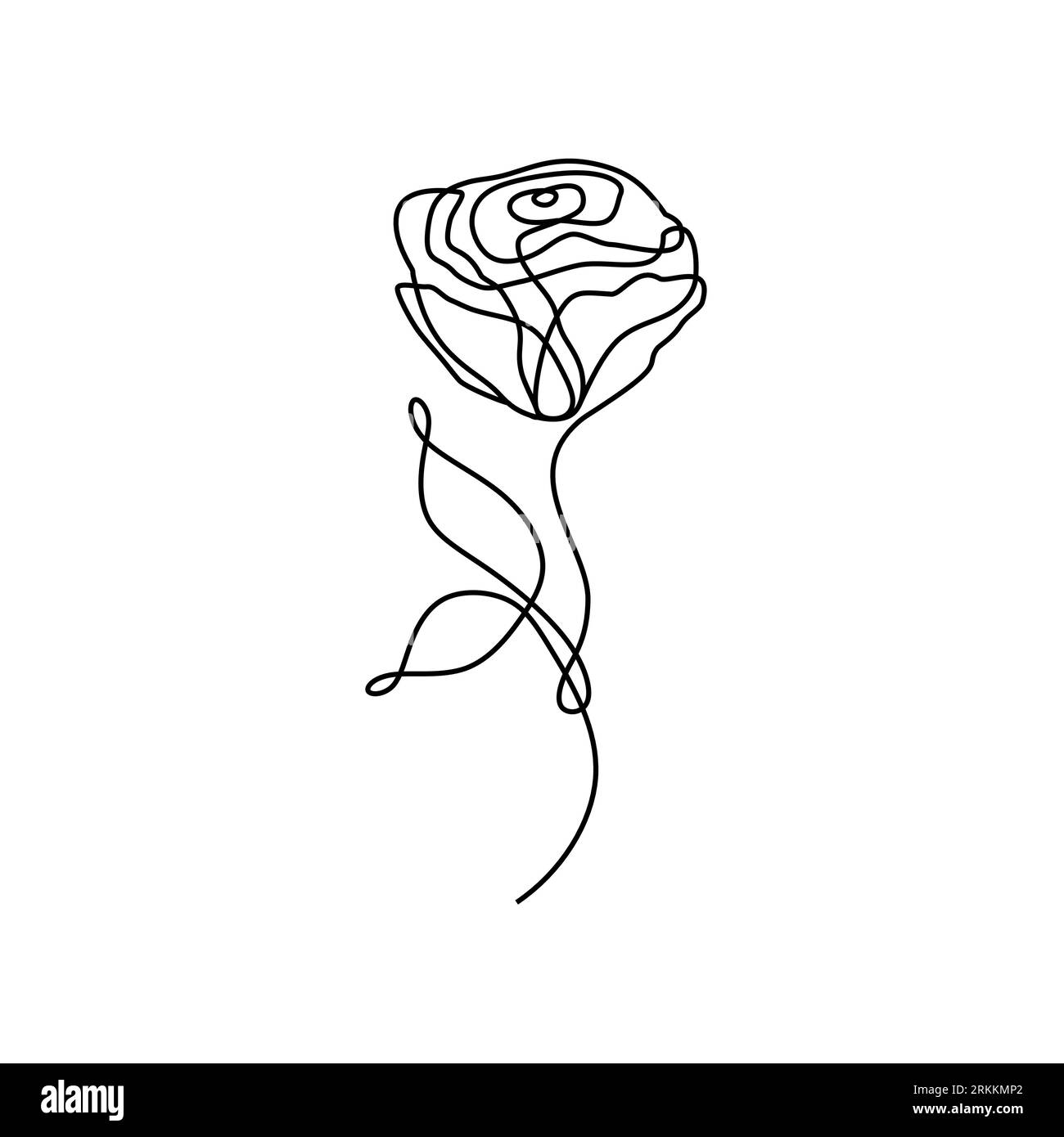 Rose flower line art vector, illustration of minimalist plant. Continuous one line drawing ...