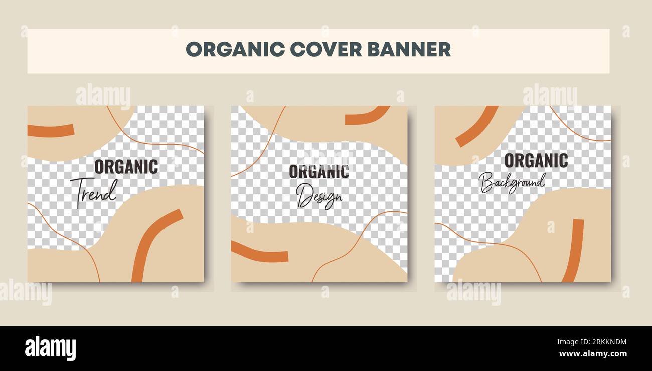 Abstract social media set. Hand drawn curved shapes trendy pastel ...