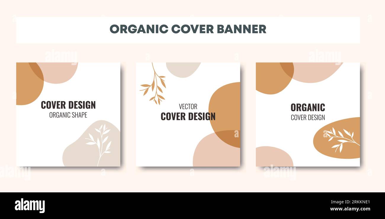 Beautiful feminine set of social media quote post templates with ...