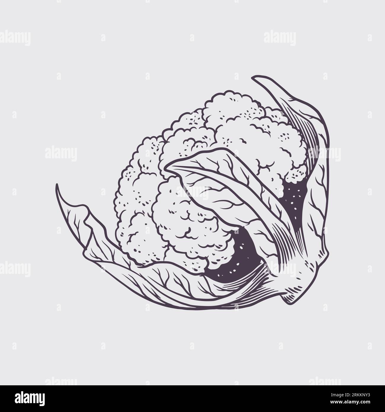 Broccoli hand drawing sketch. Vintage engraving eco food Stock Vector ...