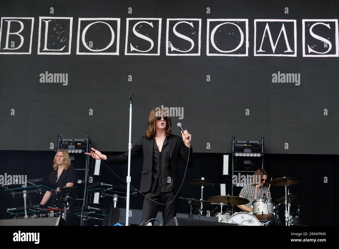 Donovan pop singer hi-res stock photography and images - Alamy