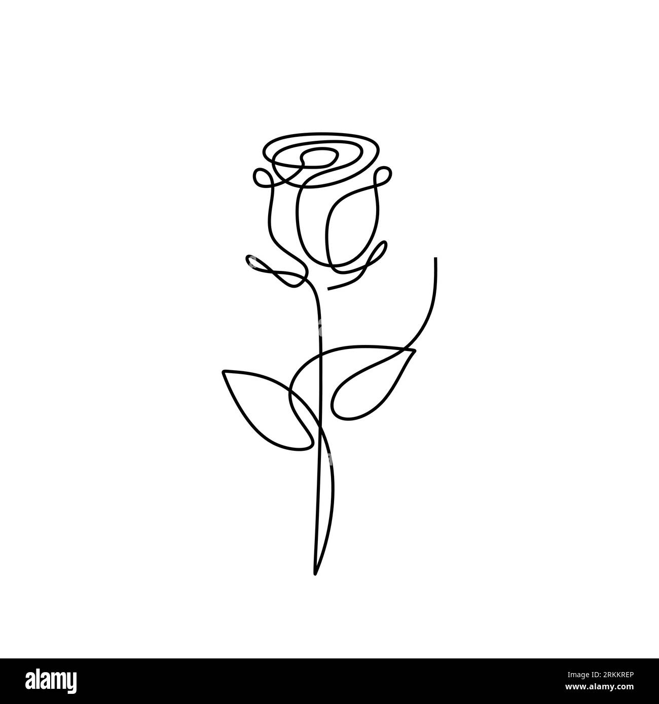 Rose flower line art vector, illustration of minimalist plant. Continuous one line drawing ...