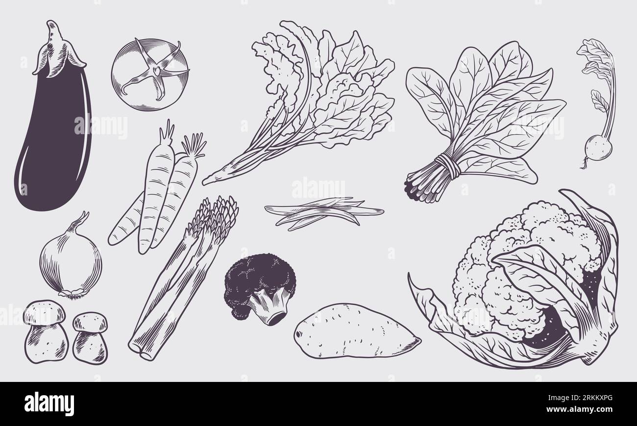 Vegetables big set of sketch collection isolated on white background ...