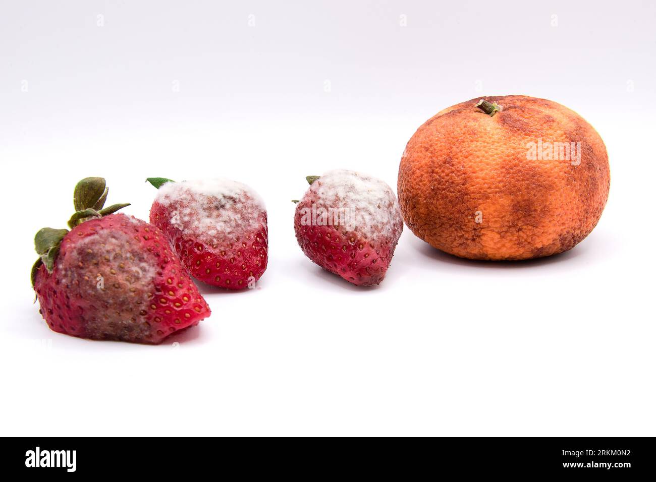 Rotten fruits hi-res stock photography and images - Alamy