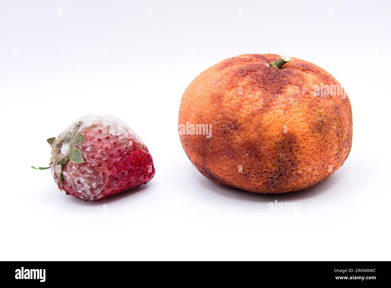 Rotten fruits hi-res stock photography and images - Alamy