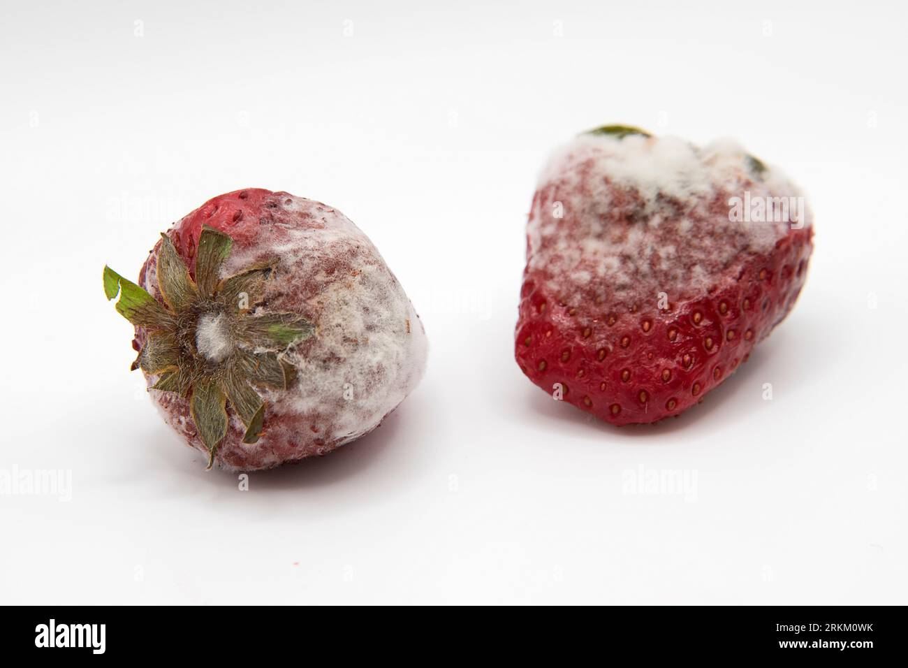 spoiled and rotten fruits, strawberry Stock Photo - Alamy
