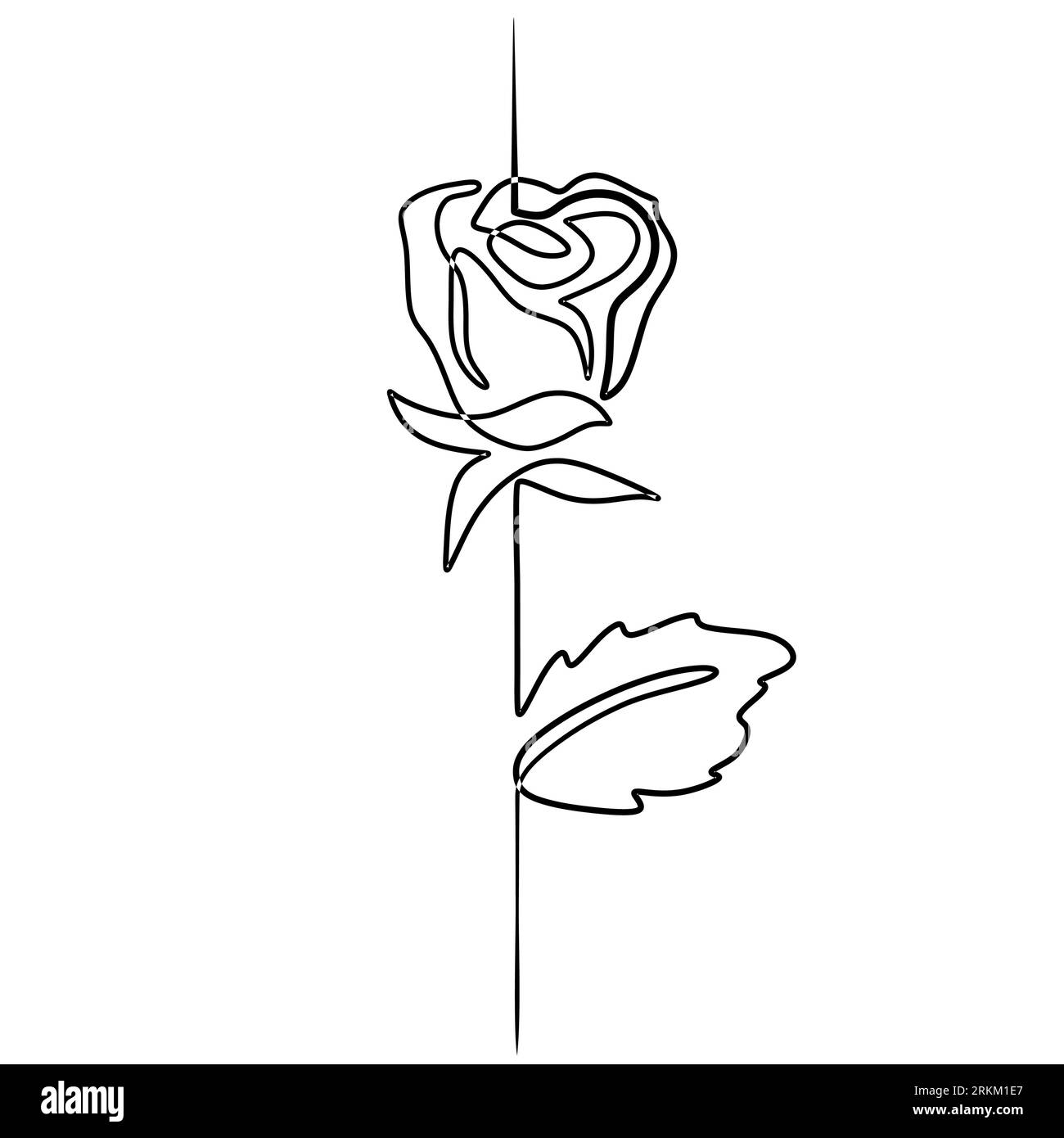 One line rose design. Hand drawn minimalism style vector illustration ...